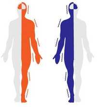 paresis | Magwise Medical Center